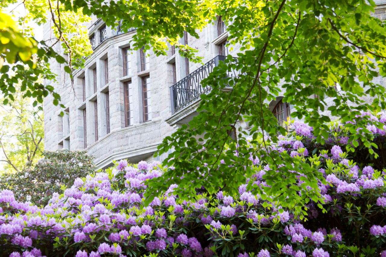 Life at Linnaeus University | Study at Linnaeus University